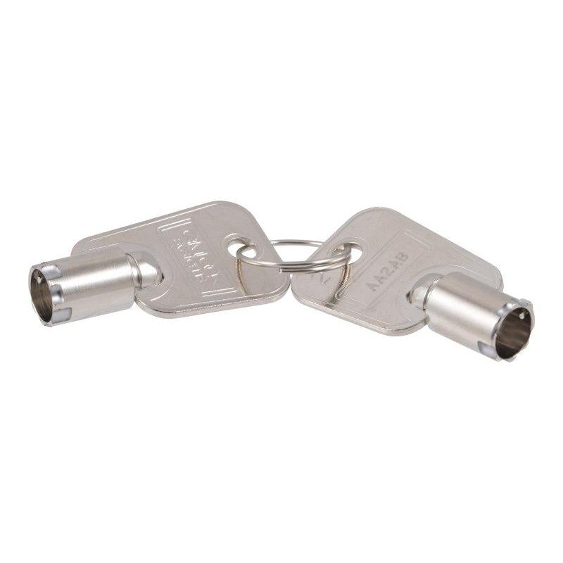 JLG Part # PTN-M-341 - KEY, SET (PAIR)